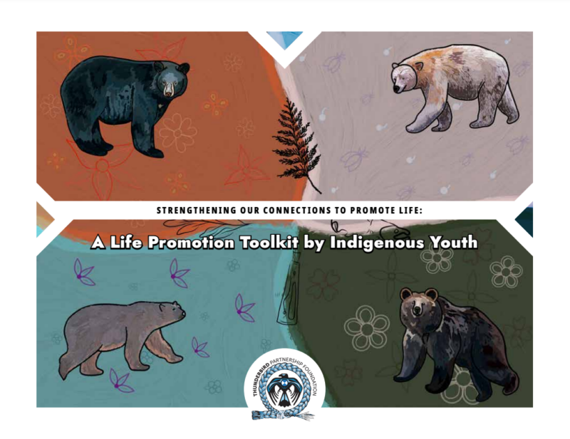 Life Promotion - Feather Carriers